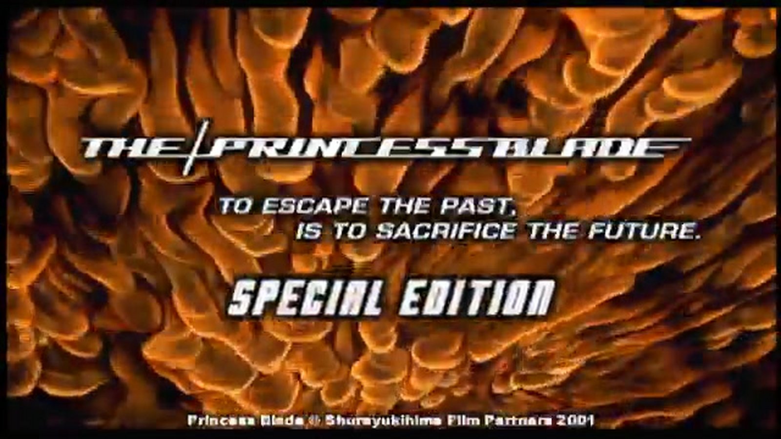 The Princess Blade: Blu-ray, 4K UHD, DVD leihen - VIDEOBUSTER