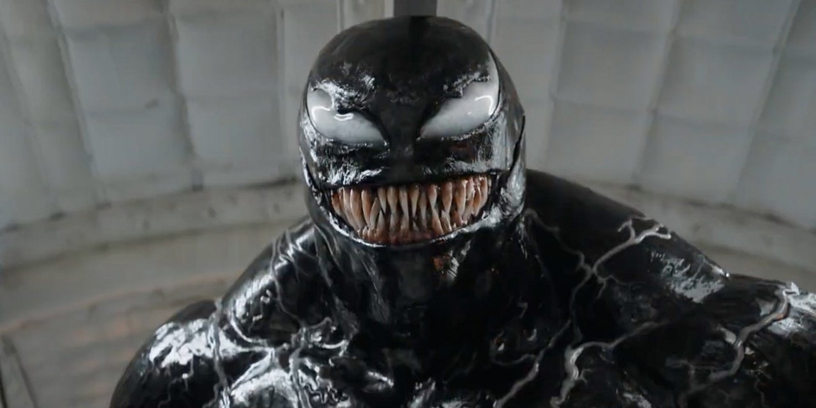 Venom 3 - The Last Dance: DVD, Blu-ray, 4K UHD leihen - VIDEOBUSTER