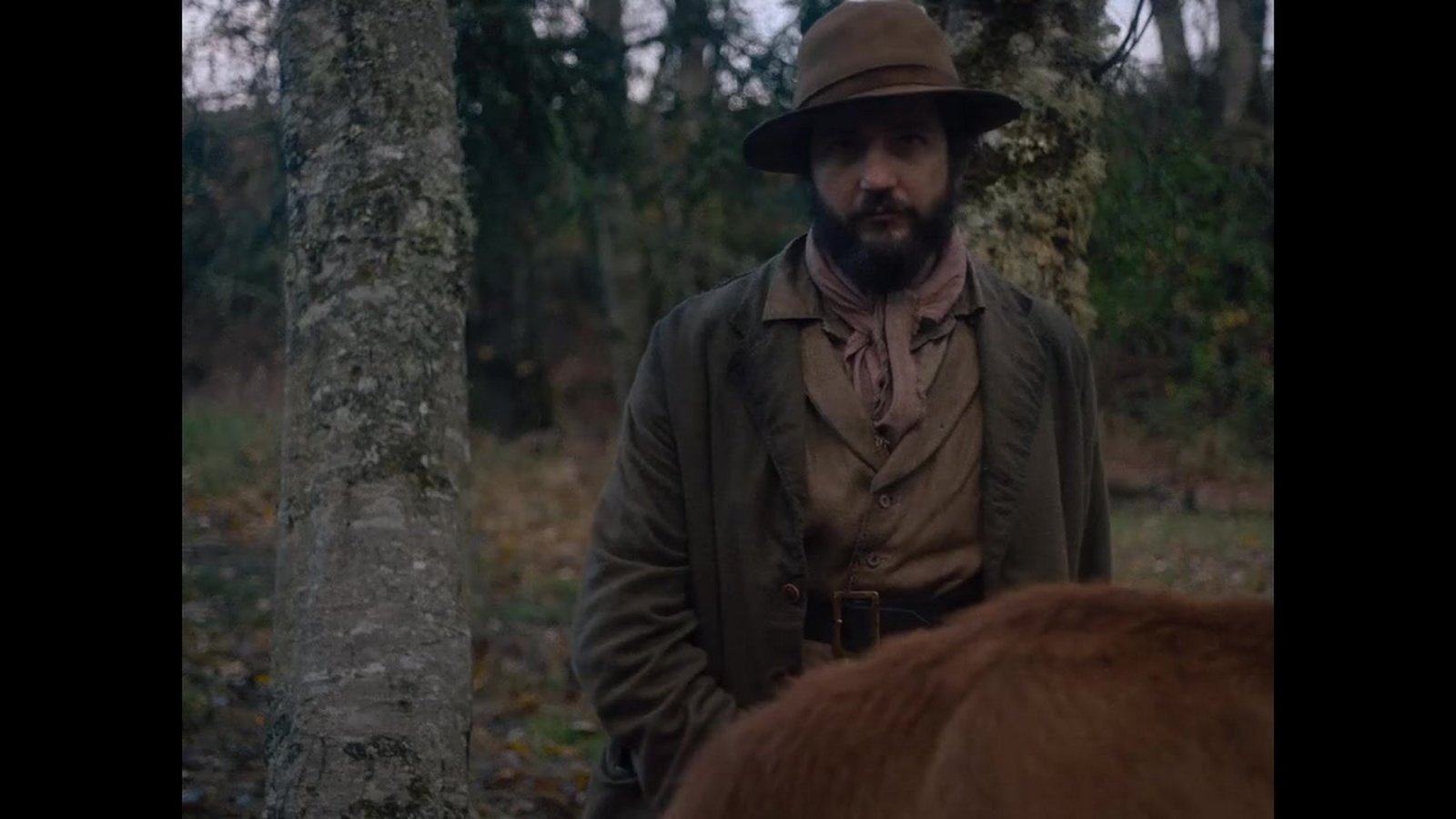 First Cow: Blu-ray, 4K UHD, DVD leihen - VIDEOBUSTER