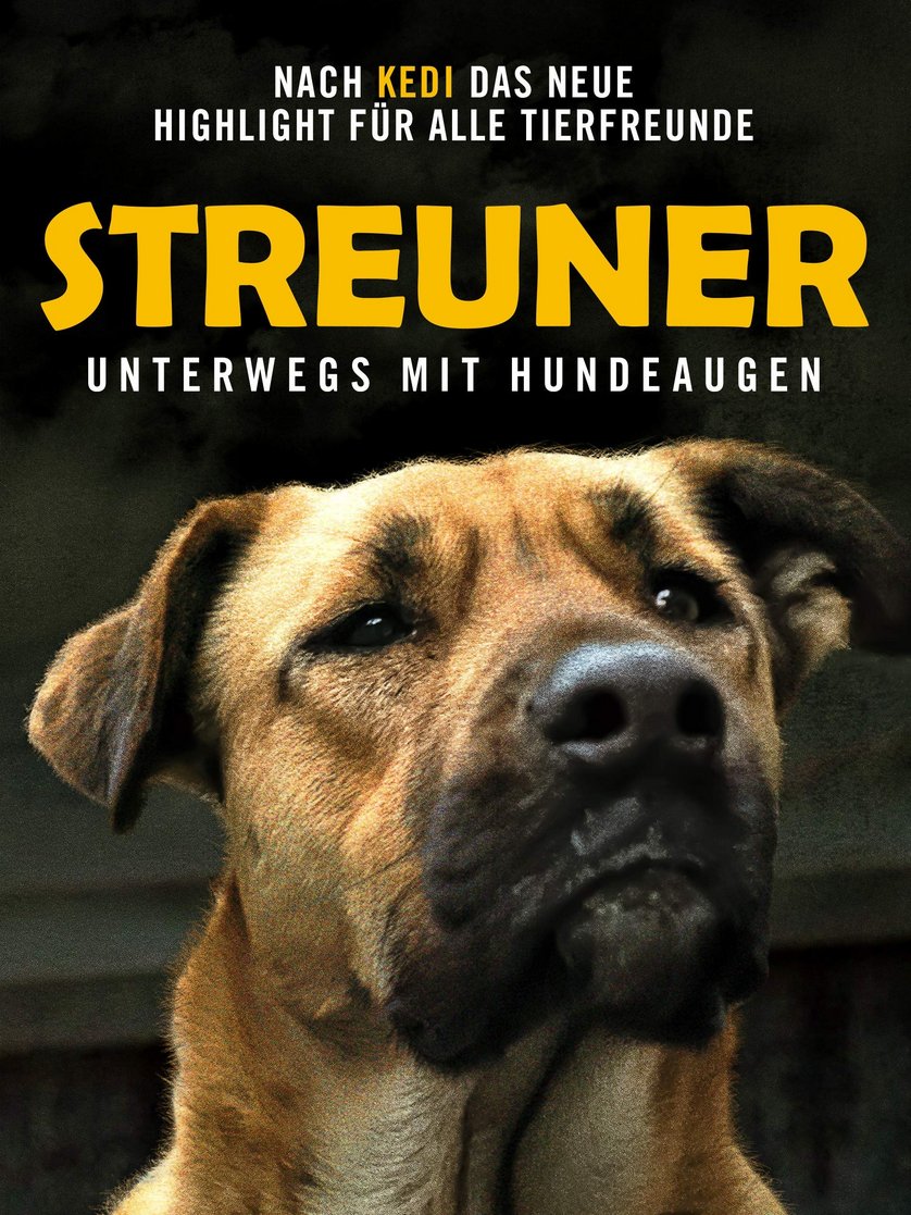 Streuner: DVD, Blu-ray oder VoD leihen - VIDEOBUSTER.de