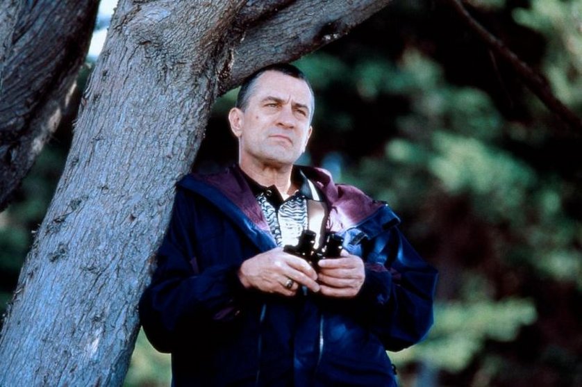 The Fan: DVD oder Blu-ray leihen - VIDEOBUSTER.de