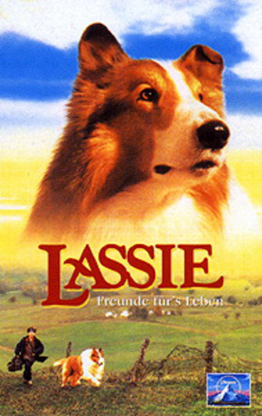 Lassie Freunde Fürs Leben Dvd Oder Blu Ray Leihen Videobusterde