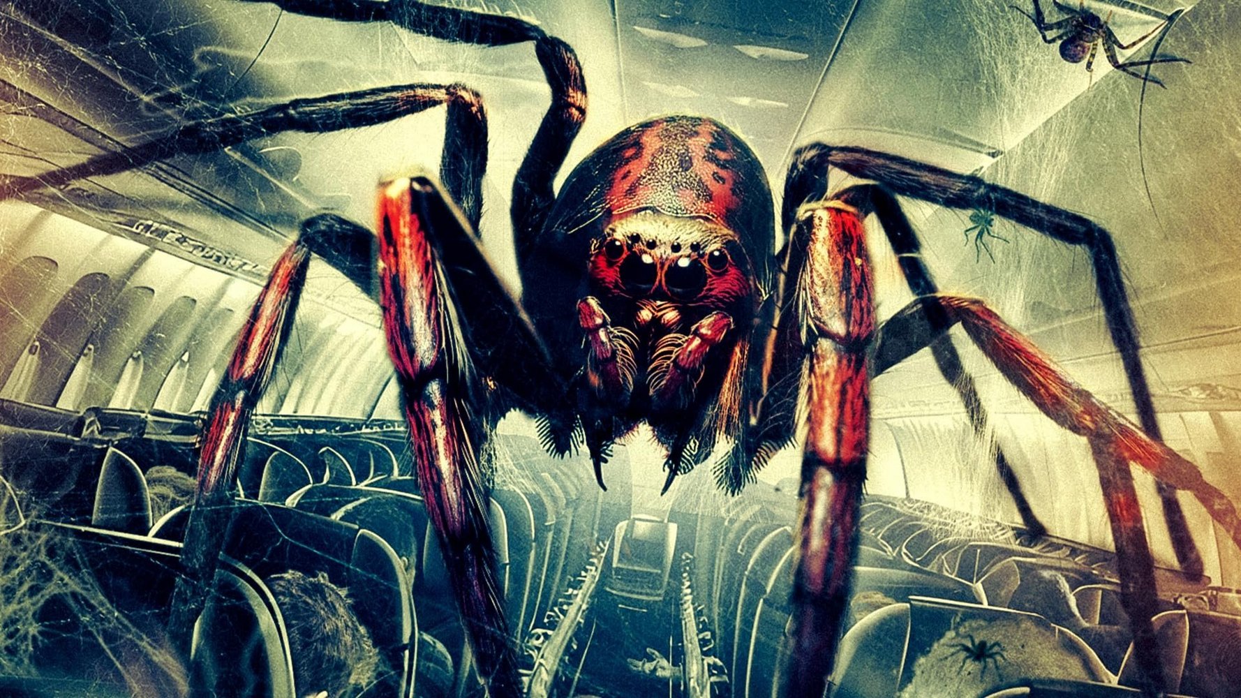 Spiders on a Plane: Blu-ray, 4K UHD, DVD leihen - VIDEOBUSTER