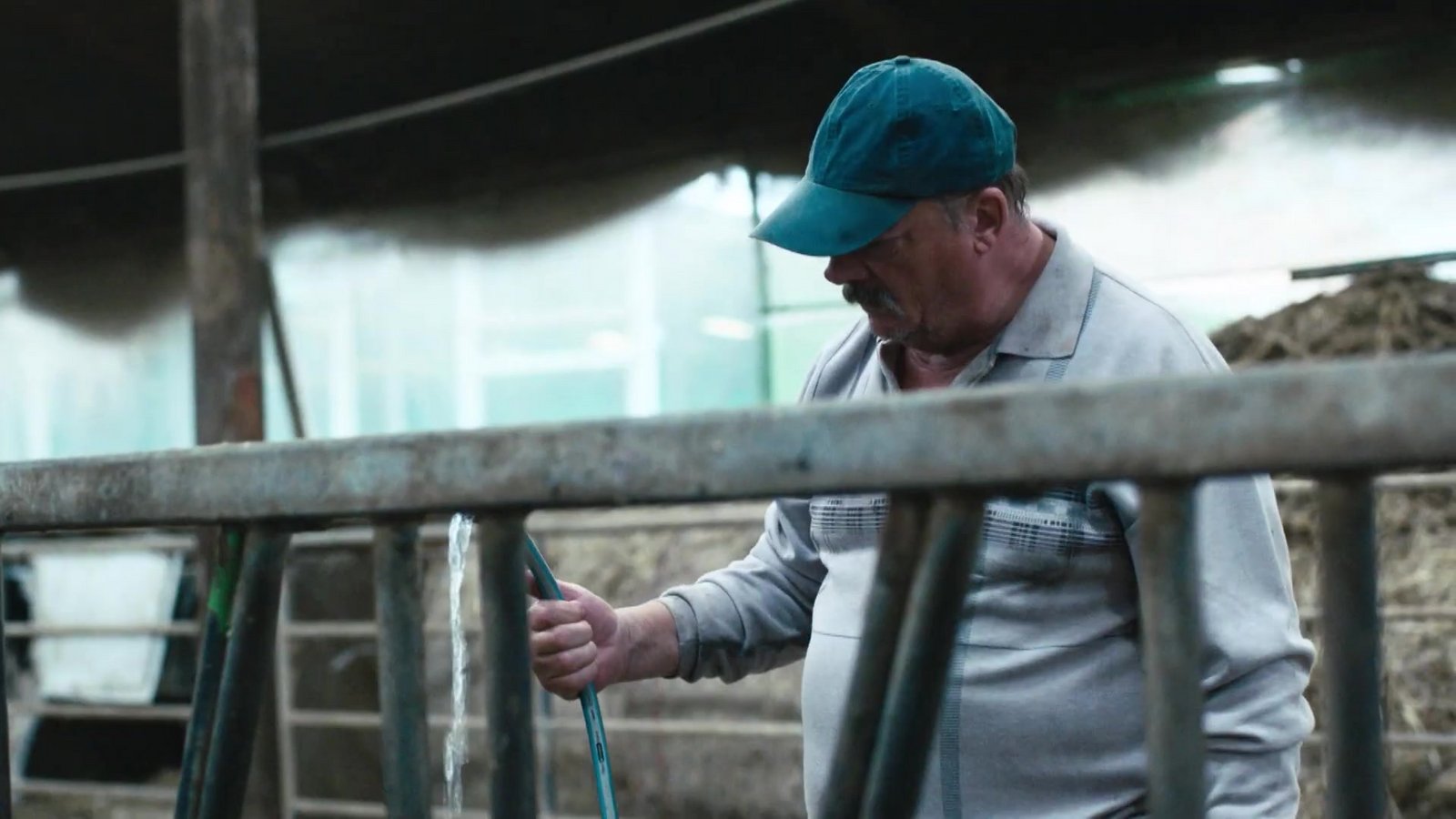 Micha denkt groß: Blu-ray, 4K UHD, DVD leihen - VIDEOBUSTER