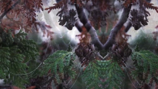 Becoming Animal: DVD oder Blu-ray leihen - VIDEOBUSTER.de