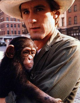 Affentraum: DVD oder Blu-ray leihen - VIDEOBUSTER.de