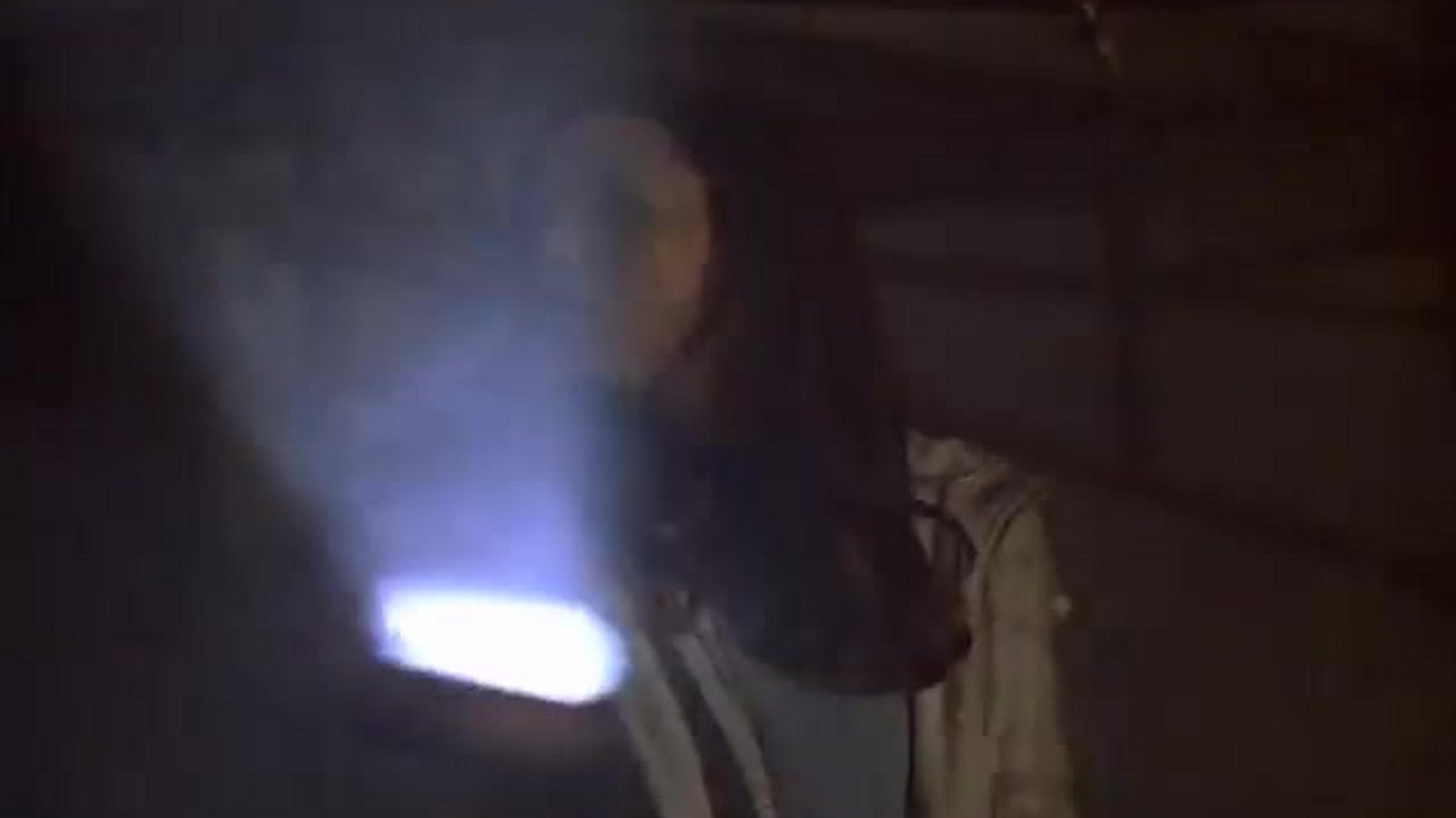 Alien Jäger: Blu-ray, 4K UHD, DVD leihen - VIDEOBUSTER