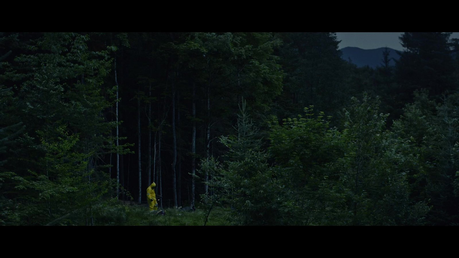 Eradication: Stream, Blu-ray, 4K UHD oder DVD - VIDEOBUSTER