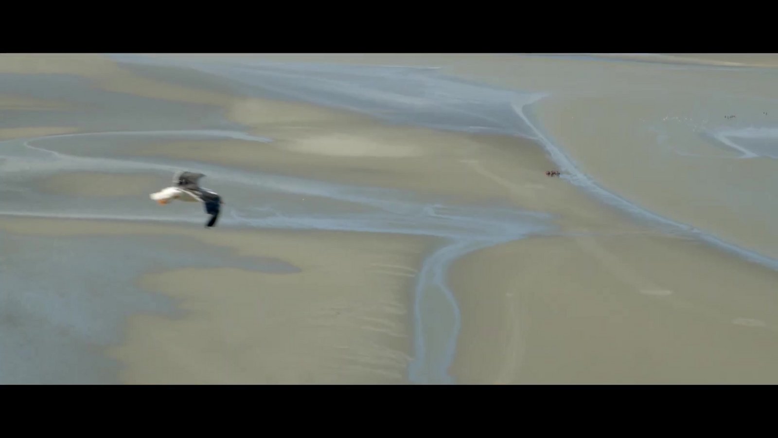 Tide - Gefahr aus der Tiefe: Stream, Blu-ray, 4K UHD oder DVD - VIDEOBUSTER