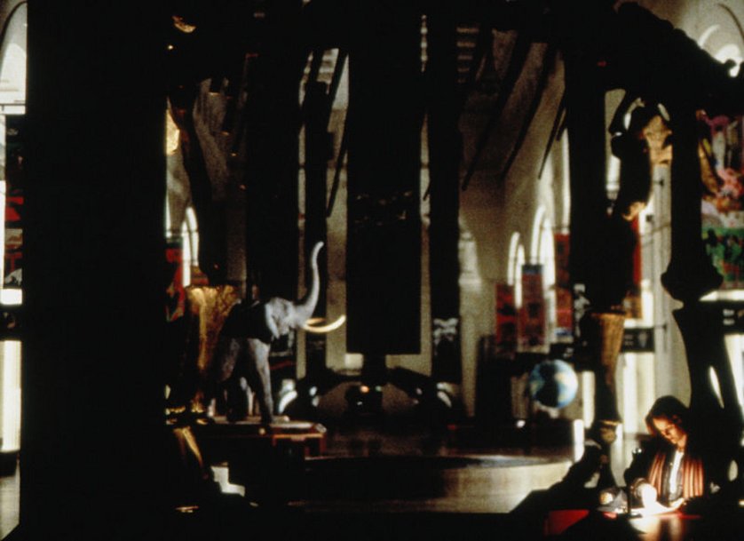 Das Relikt: DVD, Blu-ray oder VoD leihen - VIDEOBUSTER.de