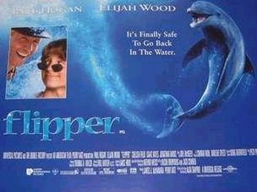 Flipper: DVD oder Blu-ray leihen - VIDEOBUSTER.de