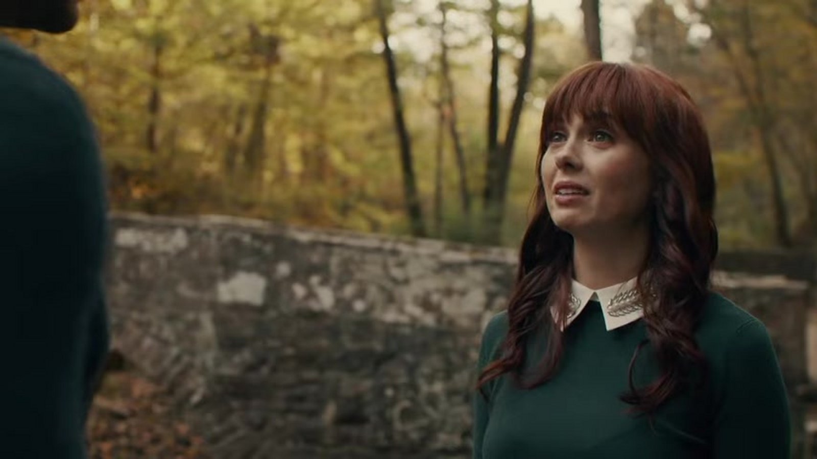 Mein Freund, seine amische Familie und ich: Blu-ray, 4K UHD, DVD leihen ...