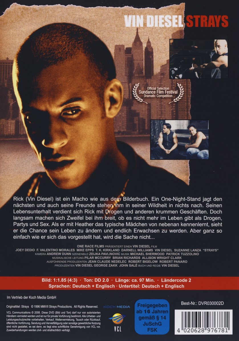 Strays: DVD oder Blu-ray leihen - VIDEOBUSTER.de