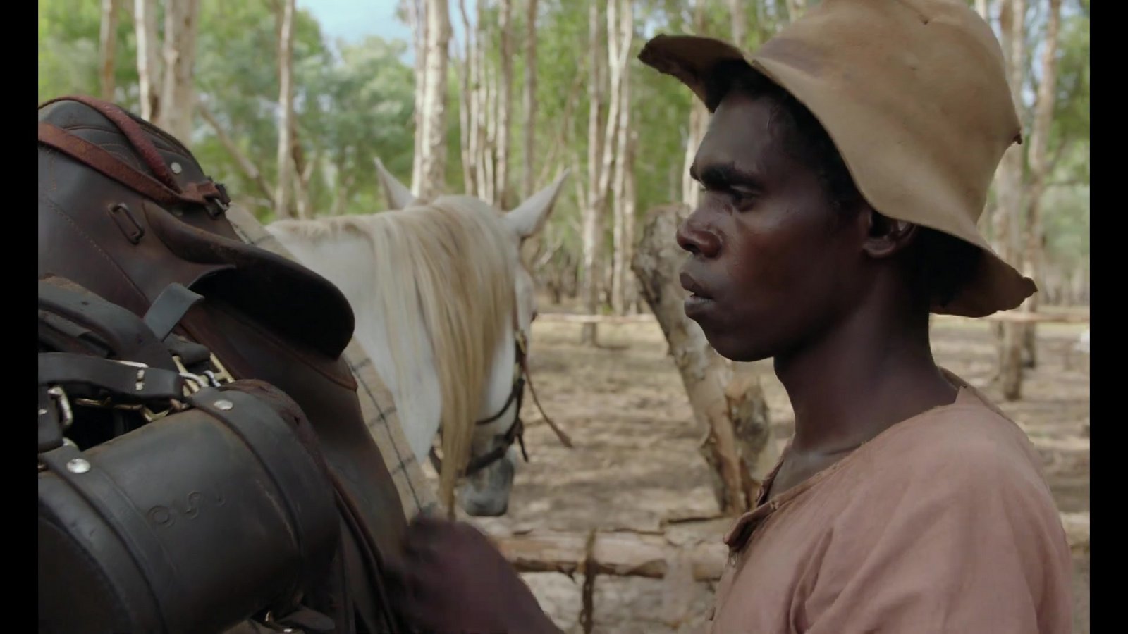 High Ground: Blu-ray, 4K UHD, DVD leihen - VIDEOBUSTER