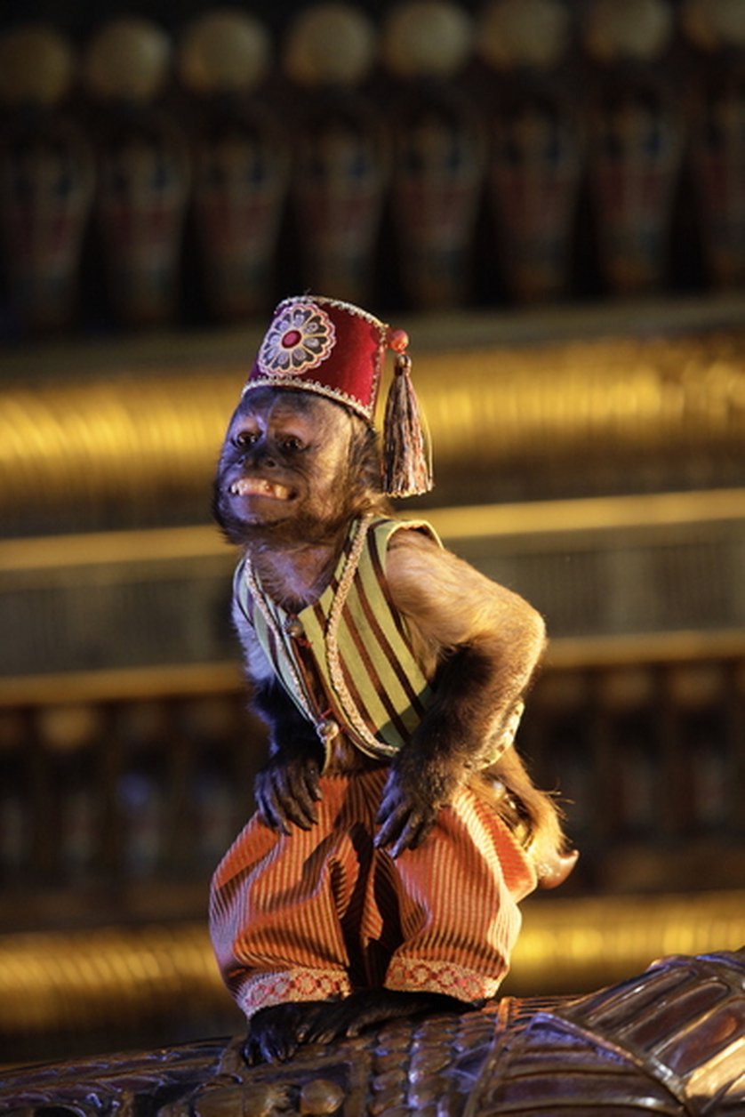 Treasure Buddies: DVD oder Blu-ray leihen - VIDEOBUSTER.de