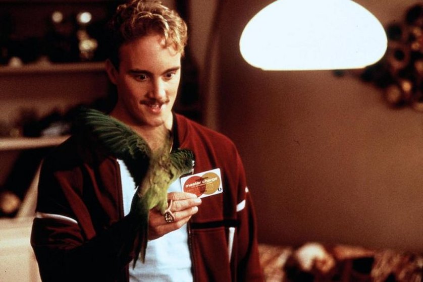 Paulie: DVD oder Blu-ray leihen - VIDEOBUSTER.de