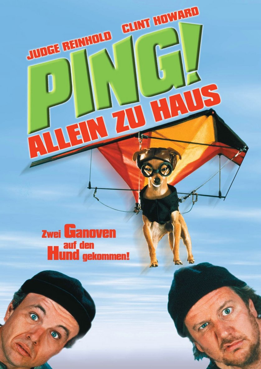 Ping!: DVD oder Blu-ray leihen - VIDEOBUSTER.de