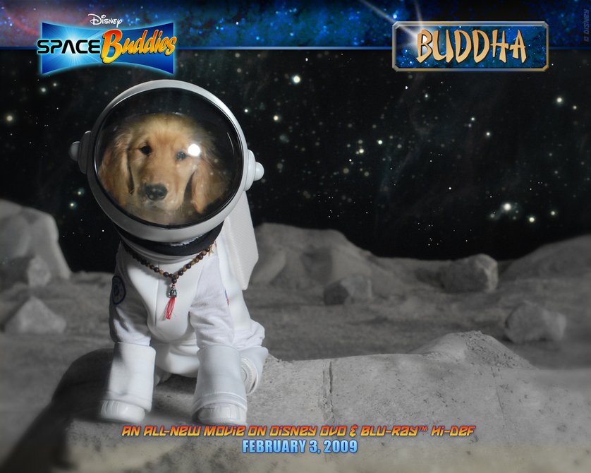 Space Buddies: DVD oder Blu-ray leihen - VIDEOBUSTER.de