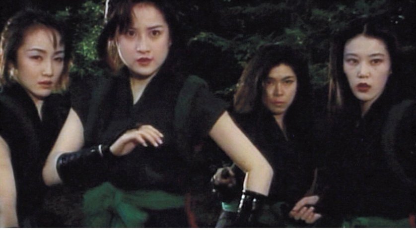 Kunoichi Lady Ninja: DVD oder Blu-ray leihen - VIDEOBUSTER.de