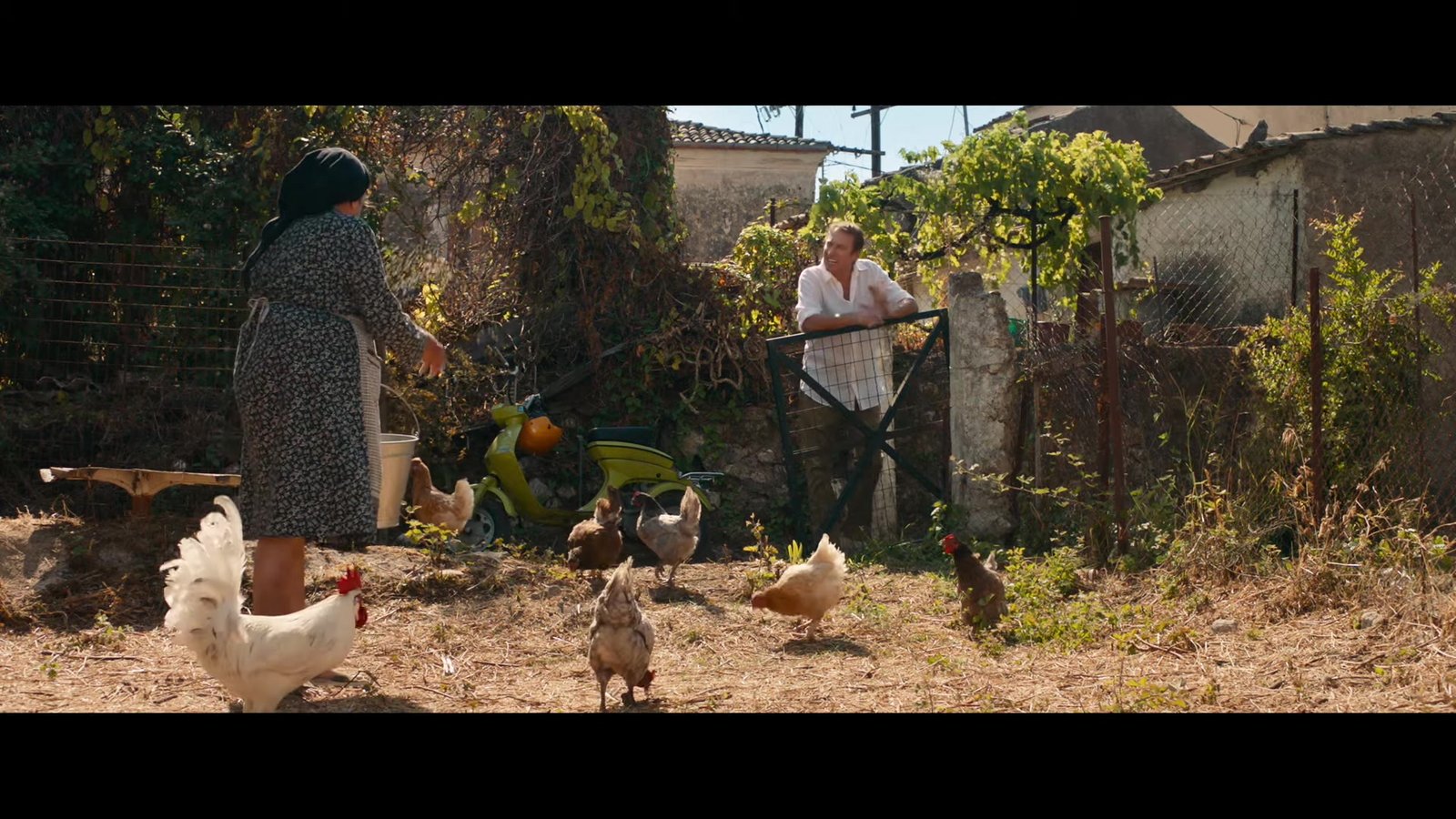 My Big Fat Greek Wedding 3 - Familientreffen: Blu-ray, 4K UHD, DVD ...