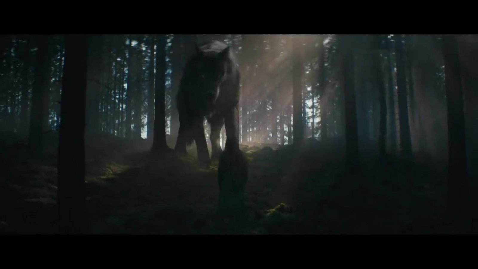 Walhalla - Die Legende von Thor: Stream, Blu-ray, 4K UHD oder DVD ...