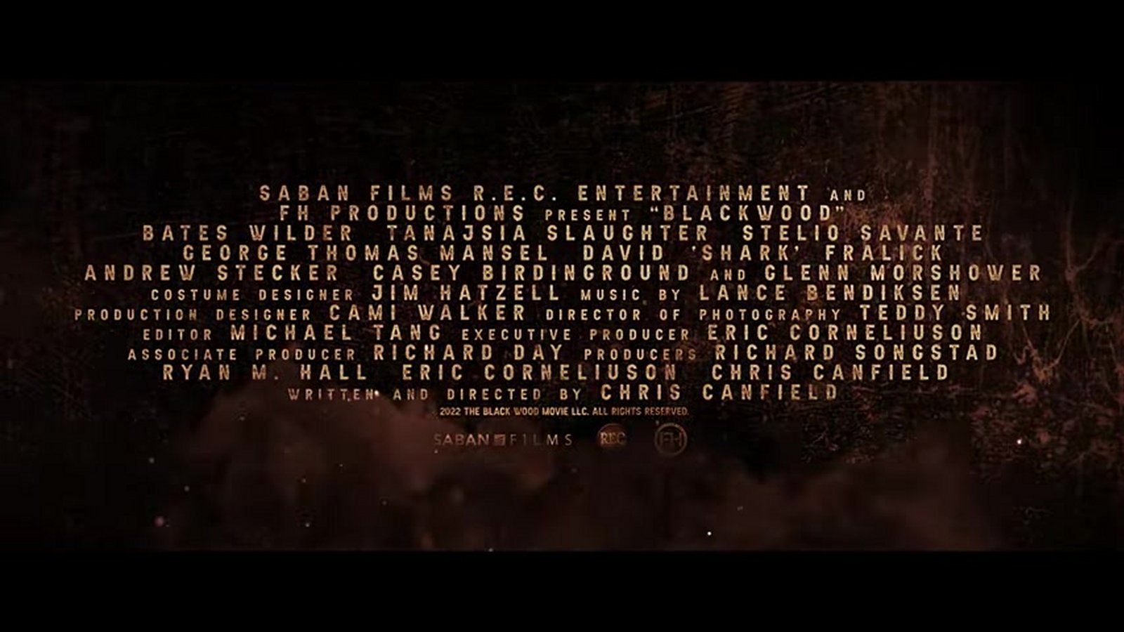 Blackwood: Blu-ray, 4K UHD, DVD leihen - VIDEOBUSTER