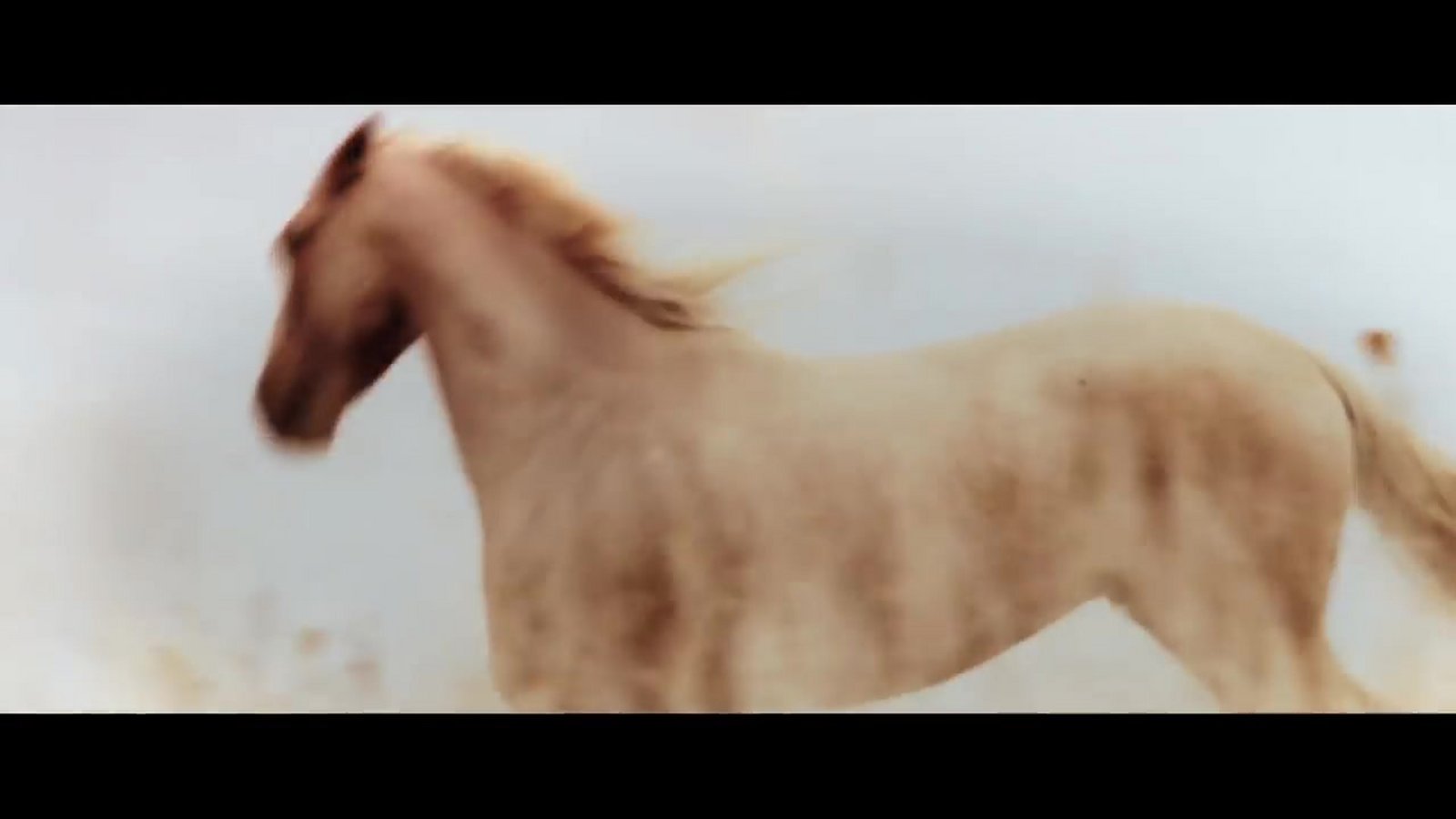 Ostwind 3 - Aufbruch nach Ora: Stream, Blu-ray, 4K UHD oder DVD ...