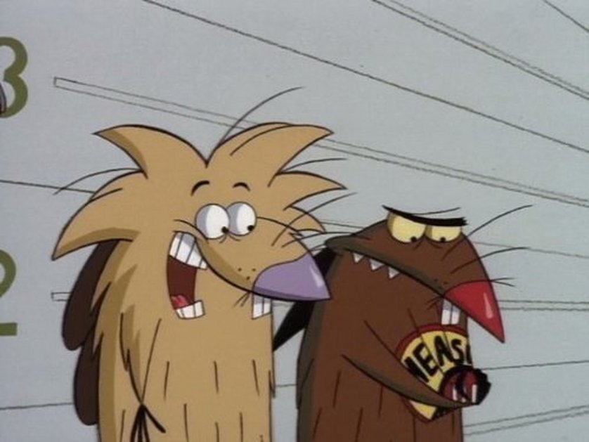 Die Biber Brüder: DVD oder Blu-ray leihen - VIDEOBUSTER.de