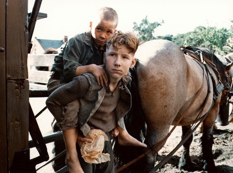 Der Laden: DVD oder Blu-ray leihen - VIDEOBUSTER.de