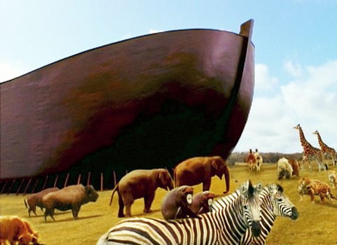 Arche Noah: DVD oder Blu-ray leihen - VIDEOBUSTER.de