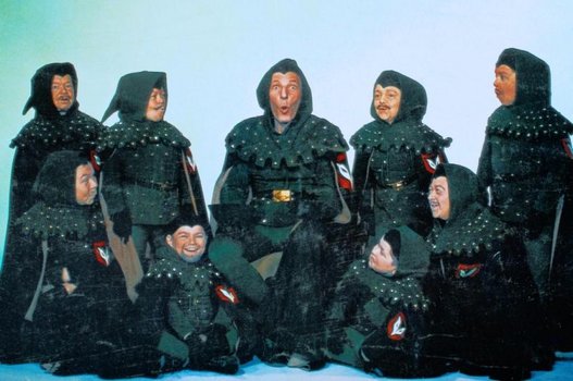 Der Hofnarr: DVD oder Blu-ray leihen - VIDEOBUSTER.de