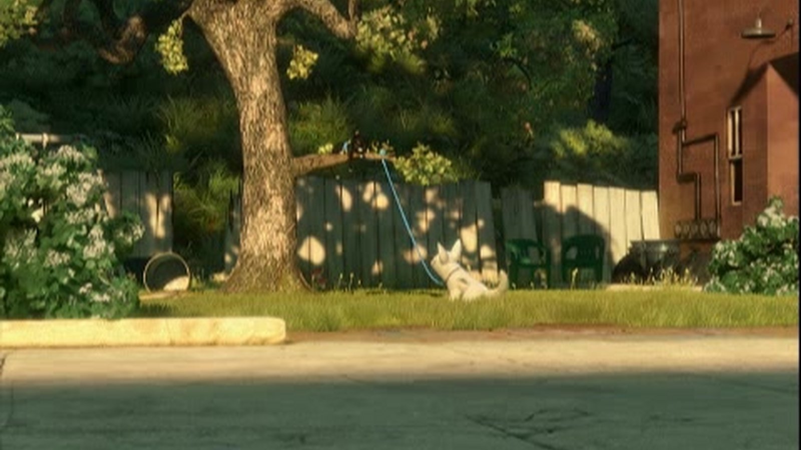 Bolt: Blu-ray, 4K UHD, DVD leihen - VIDEOBUSTER