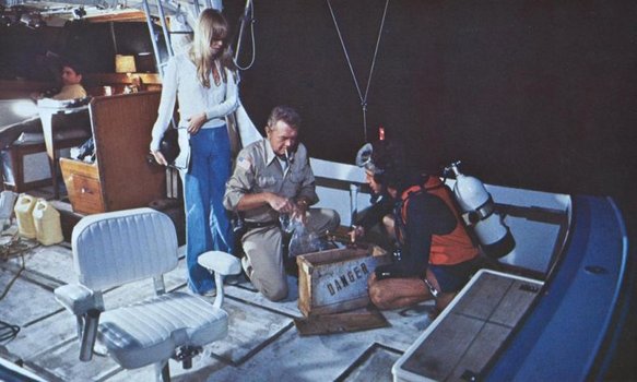 Barracuda: DVD oder Blu-ray leihen - VIDEOBUSTER.de