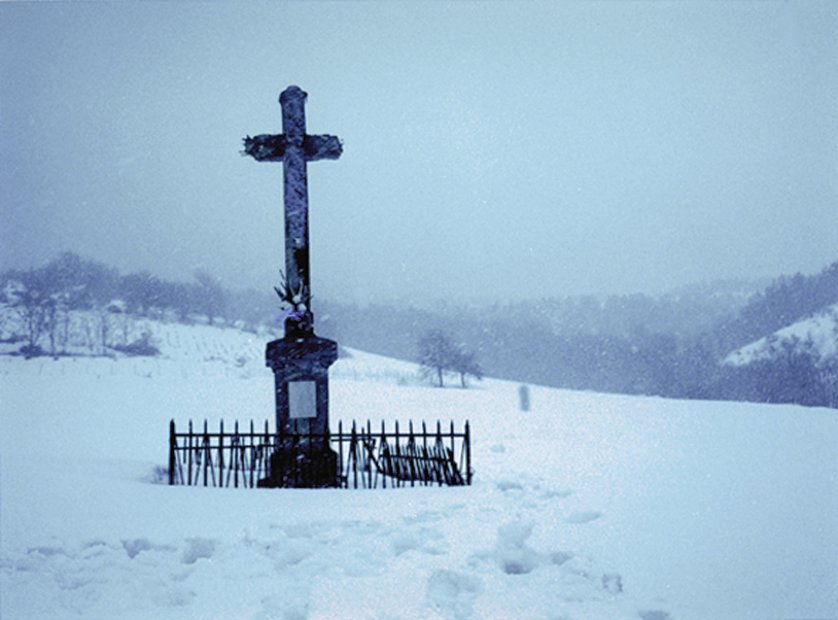 Absolut Warhola: DVD oder Blu-ray leihen - VIDEOBUSTER.de