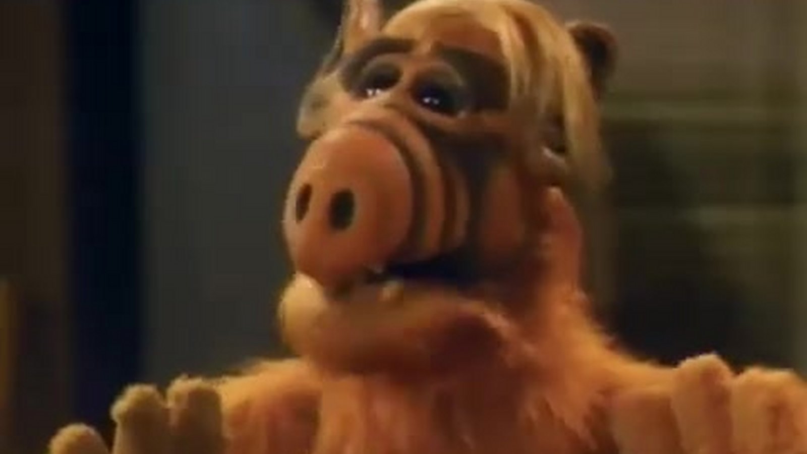 Alf - Der Film: Blu-ray, 4K UHD, DVD leihen - VIDEOBUSTER