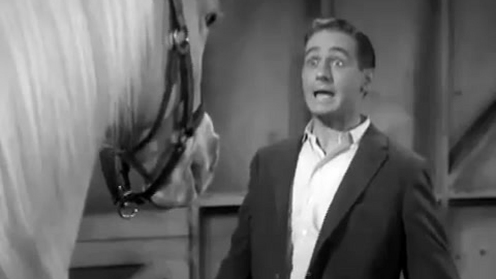 Mister Ed - Collection 1: Blu-ray, 4K UHD, DVD leihen - VIDEOBUSTER