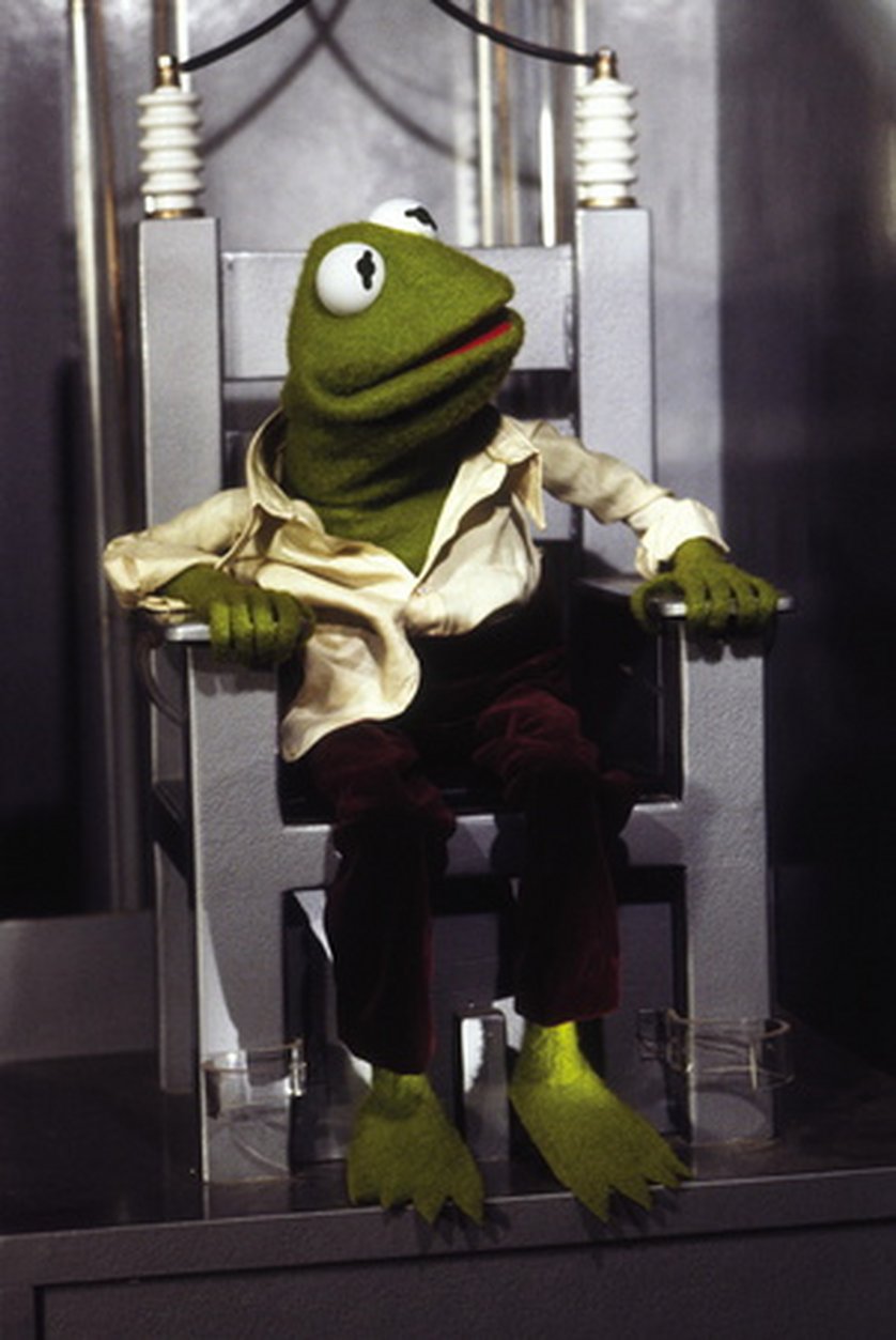 Muppet Movie: DVD oder Blu-ray leihen - VIDEOBUSTER.de