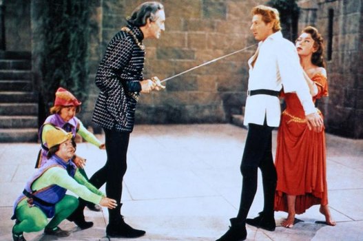 Der Hofnarr: DVD oder Blu-ray leihen - VIDEOBUSTER.de