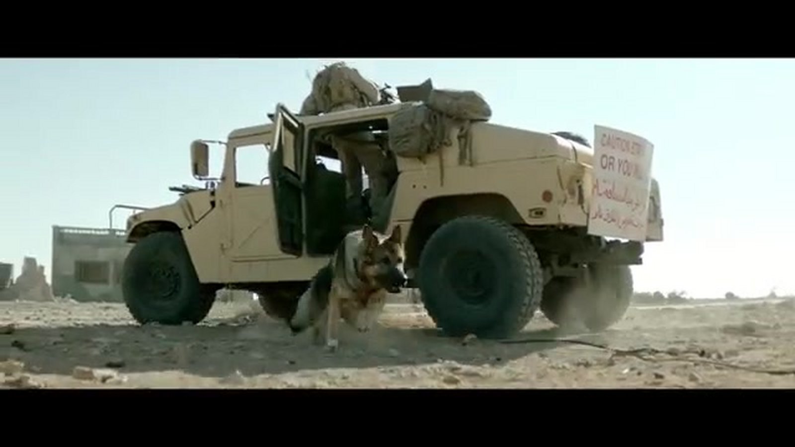 Sergeant Rex: Stream, Blu-ray, 4K UHD oder DVD - VIDEOBUSTER