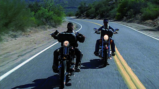 Born to Ride: DVD oder Blu-ray leihen - VIDEOBUSTER.de