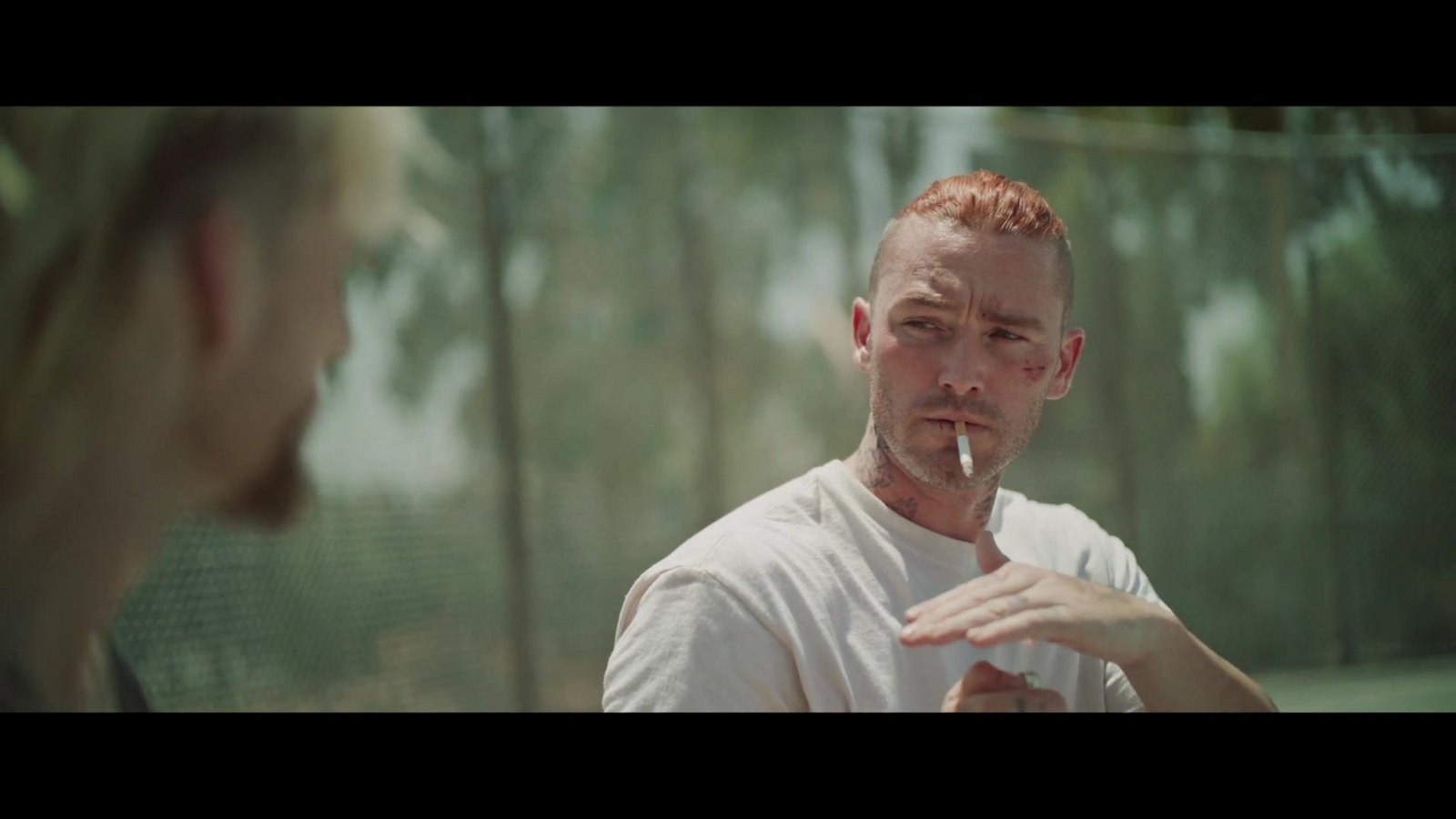 Home: Stream, Blu-ray, 4K UHD oder DVD - VIDEOBUSTER