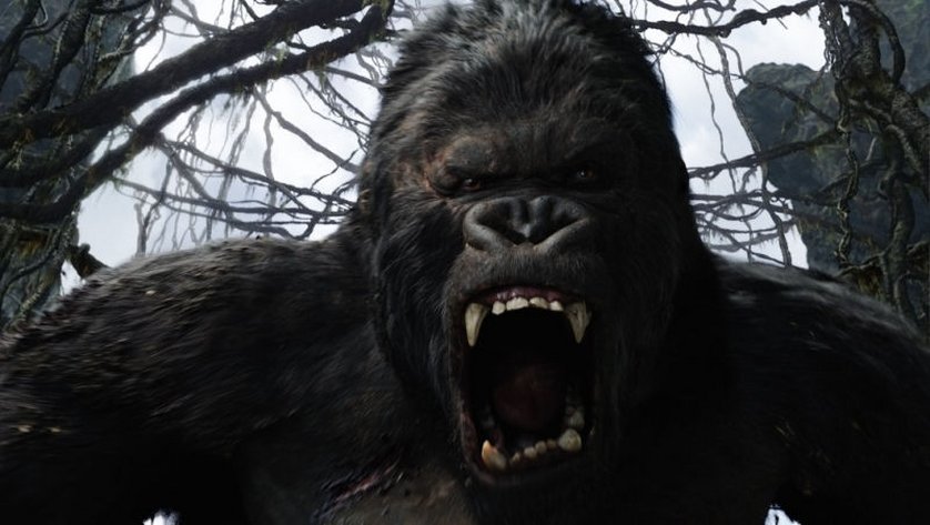 King Kong: DVD oder Blu-ray leihen - VIDEOBUSTER.de