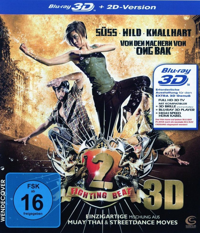 Fighting Beat 2: DVD, Blu-ray oder VoD leihen - VIDEOBUSTER.de