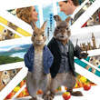 Peter Hase 2: DVD oder Blu-ray leihen - VIDEOBUSTER.de