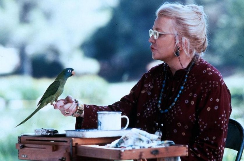 Paulie: DVD oder Blu-ray leihen - VIDEOBUSTER.de