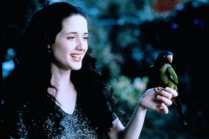 Paulie: DVD oder Blu-ray leihen - VIDEOBUSTER.de