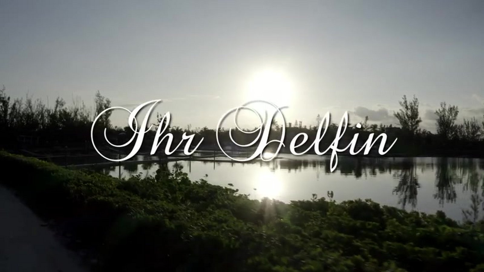 Die Insel der Delfine: Stream, Blu-ray, 4K UHD oder DVD - VIDEOBUSTER