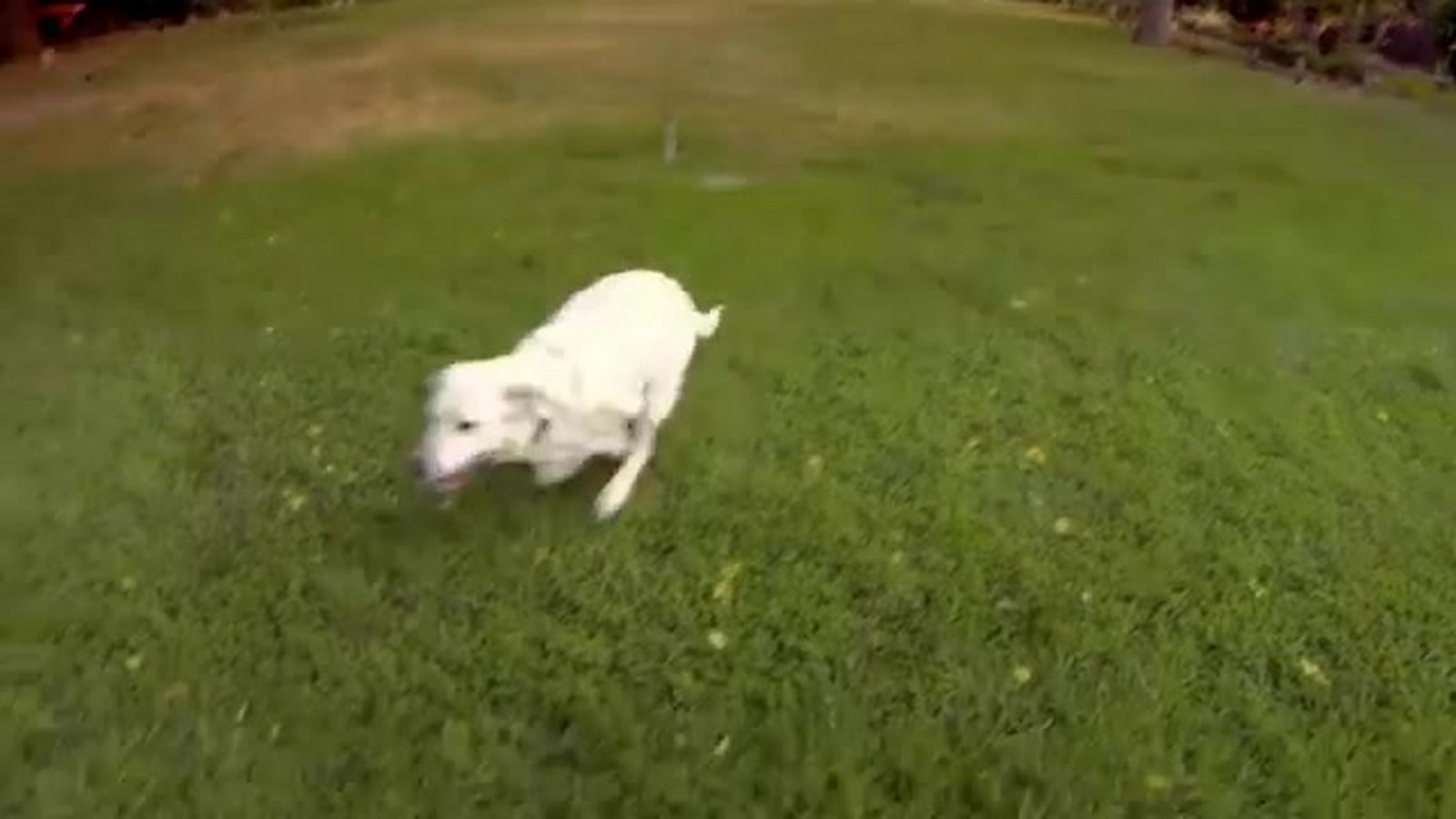 The Operator: DVD, Blu-ray oder VoD leihen - VIDEOBUSTER