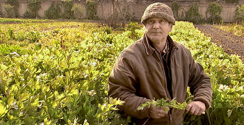 Food Fight: DVD oder Blu-ray leihen - VIDEOBUSTER.de