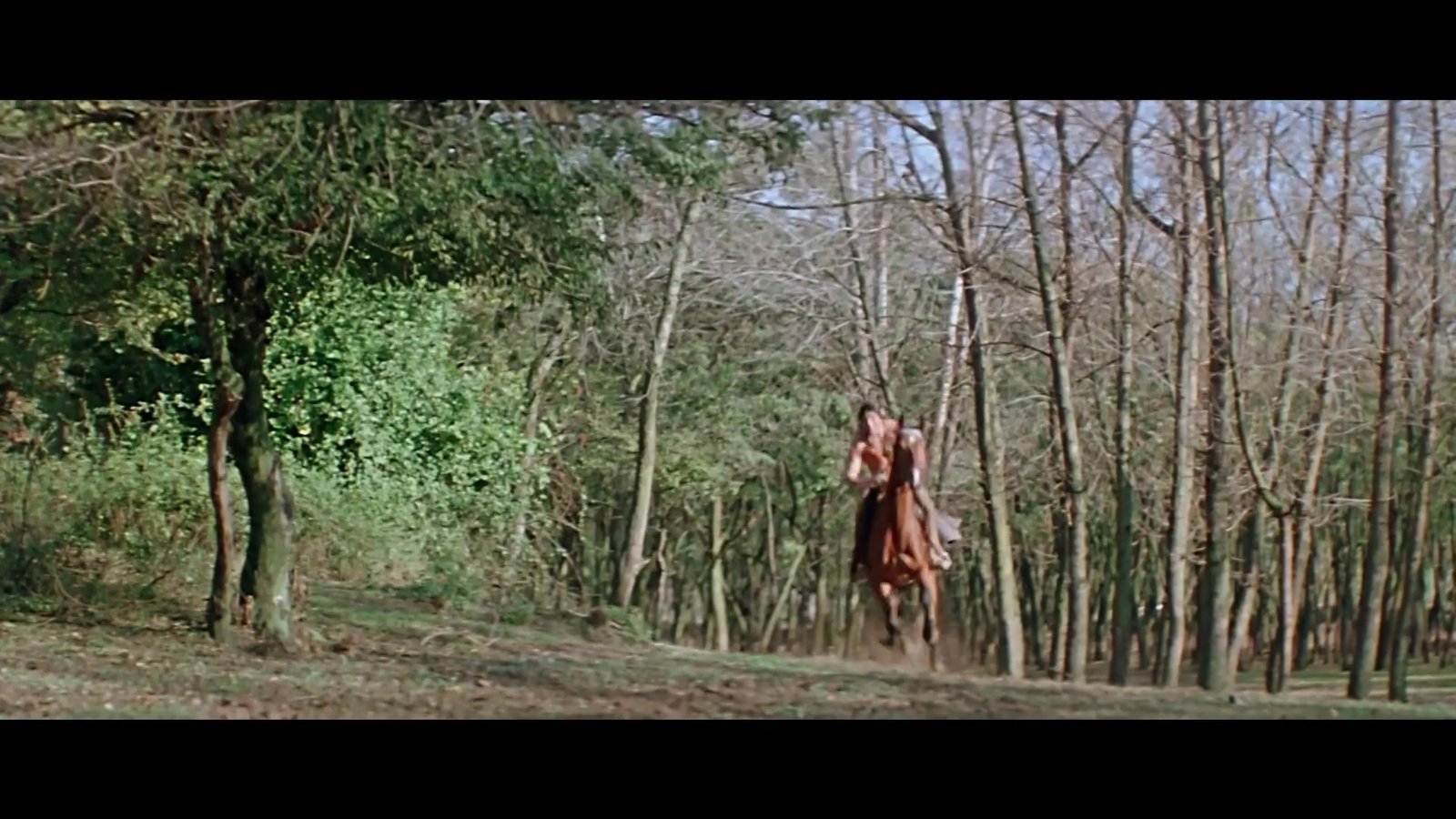 Chingachgook: Blu-ray, 4K UHD, DVD leihen - VIDEOBUSTER